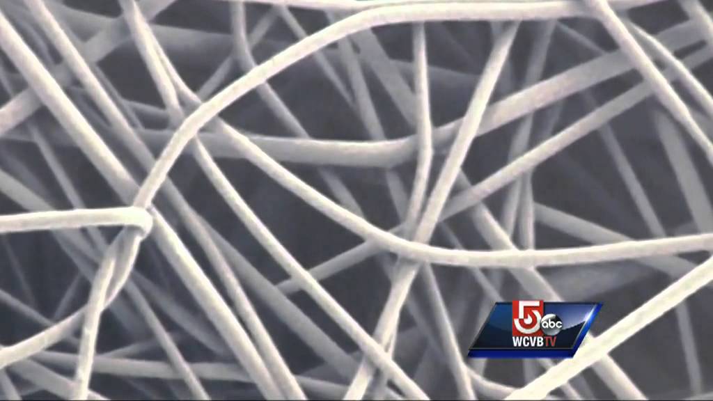 Lab-grown human organs available for transplants - YouTube