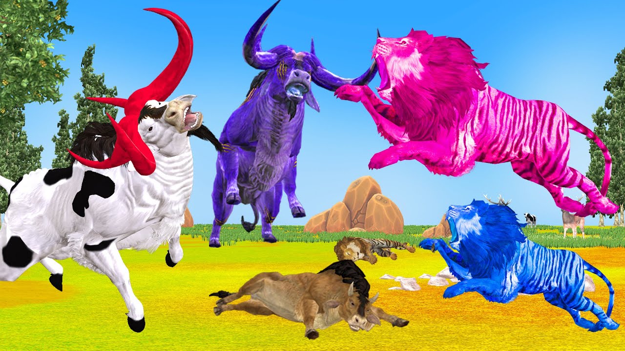 2 Giant Bulls VS 2 Monster Lion Fight Wild Animal Revolt Battle Cow ...