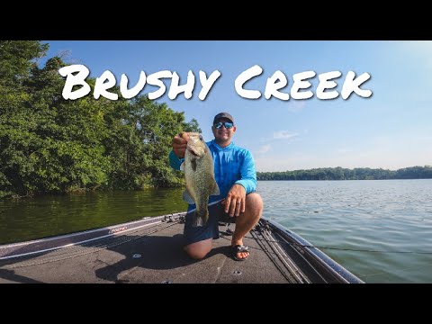 Exploring A New Lake | Brushy Creek - YouTube