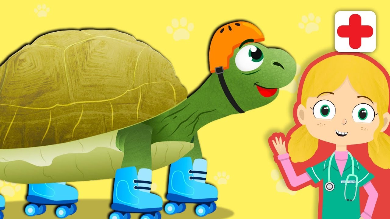 Felix The Tortoise Visits Dr Poppy's Pet Rescue | Animals For Kids ...
