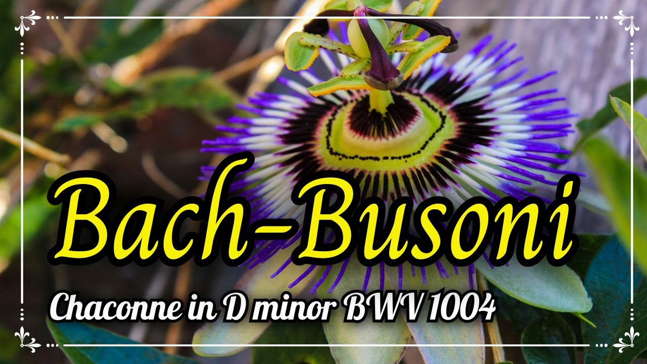 🧊 Bach-Busoni: Chaconne in D minor BWV1004 - YouTube