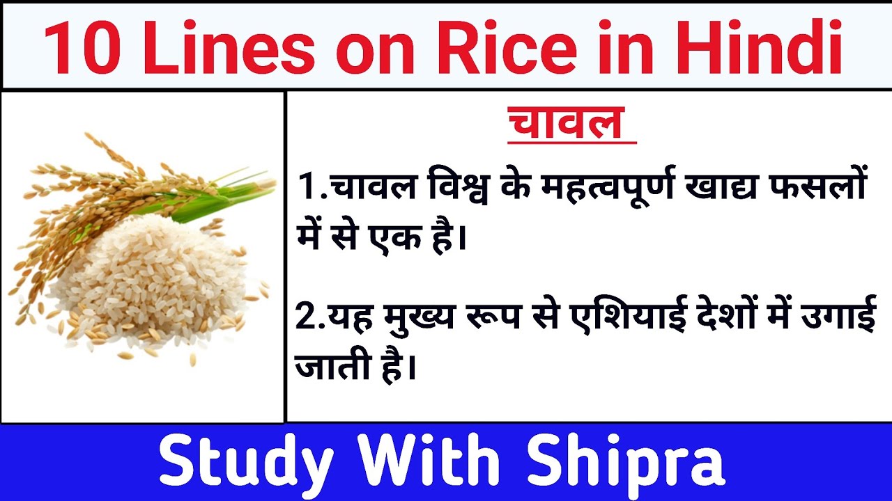 10 Lines on Rice in Hindi | Short Essay on Rice | Rice |10 पंक्तियां ...