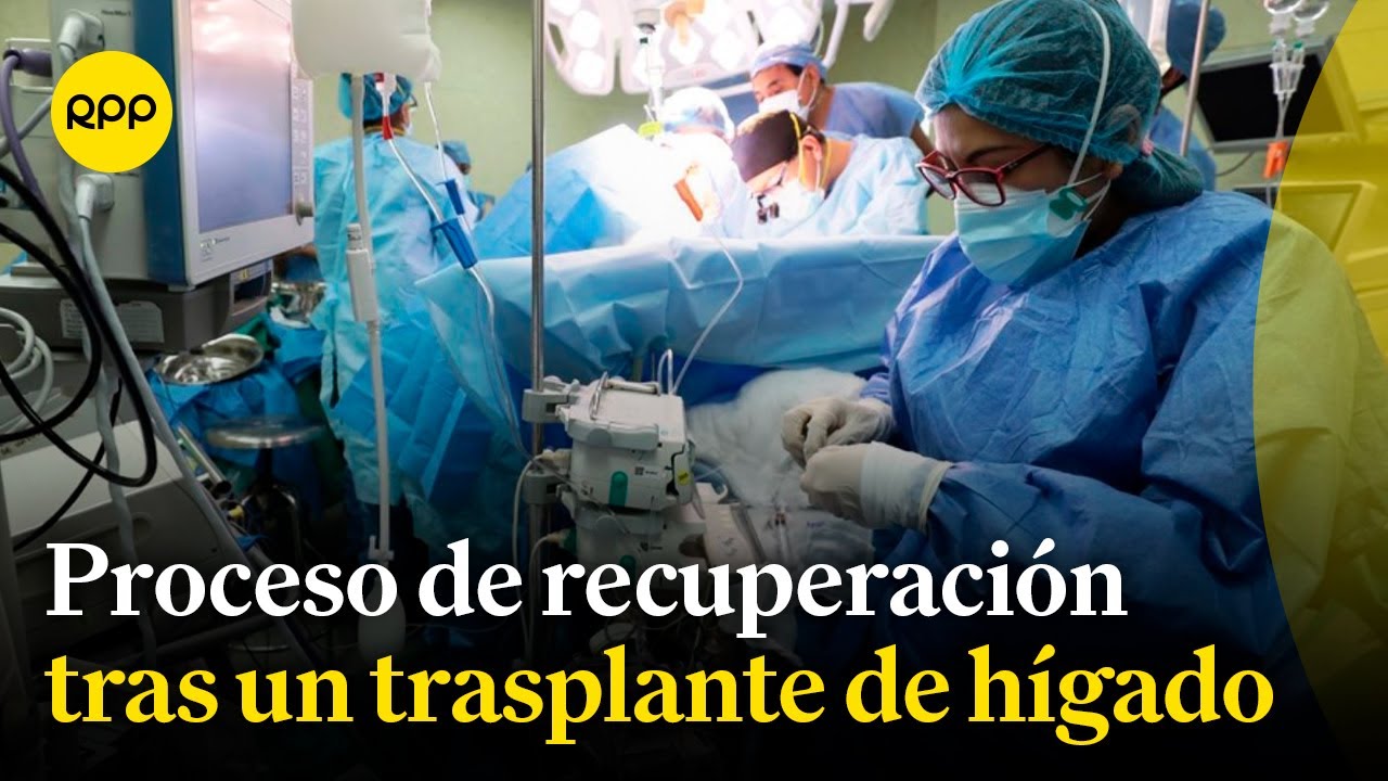Trasplante de hígado: ¿Cómo es el proceso de recuperación? | Espacio ...