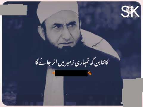 Halal aur Haram main farq/ halal ki barkat/ maulana Tariq Jameel/Whatsapp Islamic status