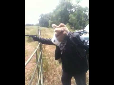 Fursuits and Guns - YouTube