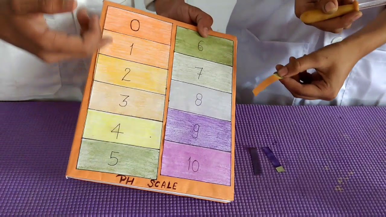Class 10 - Identification of solutions with the help of pH paper. - YouTube