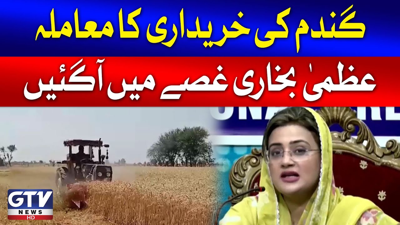 Purchase Of Wheat In Pakistan | Uzma Bukhari Angry | Breaking News |GTV ...