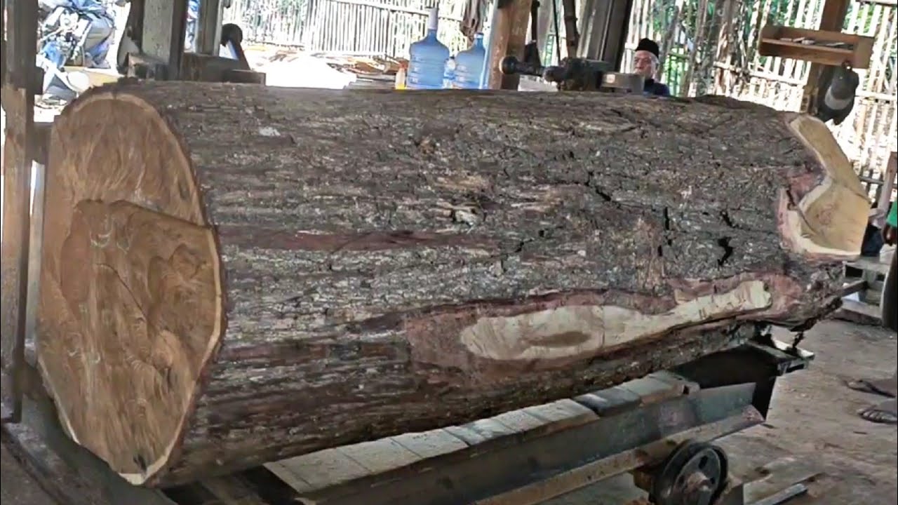 full video ...!! of the sawing process of super hard acacia wood - YouTube