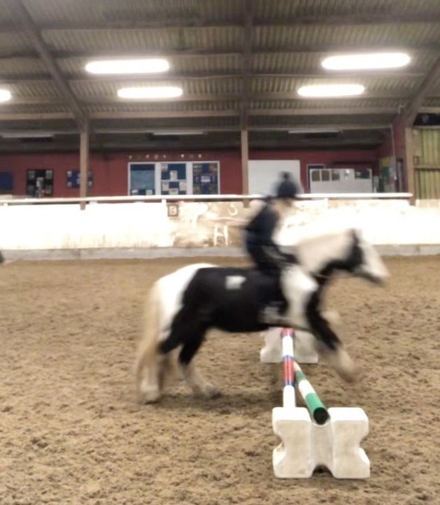 My first canter jump on her !! #pony #canter #equestrian #cutepony # ...
