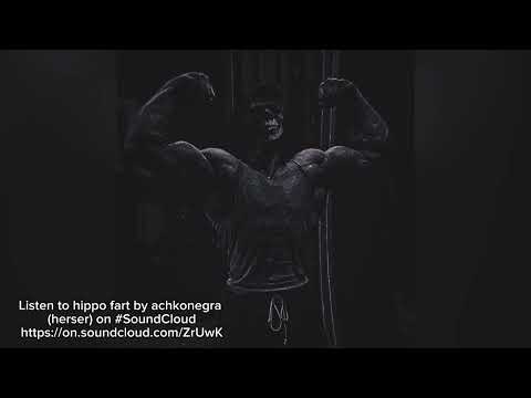 hippo fart brazil phonk