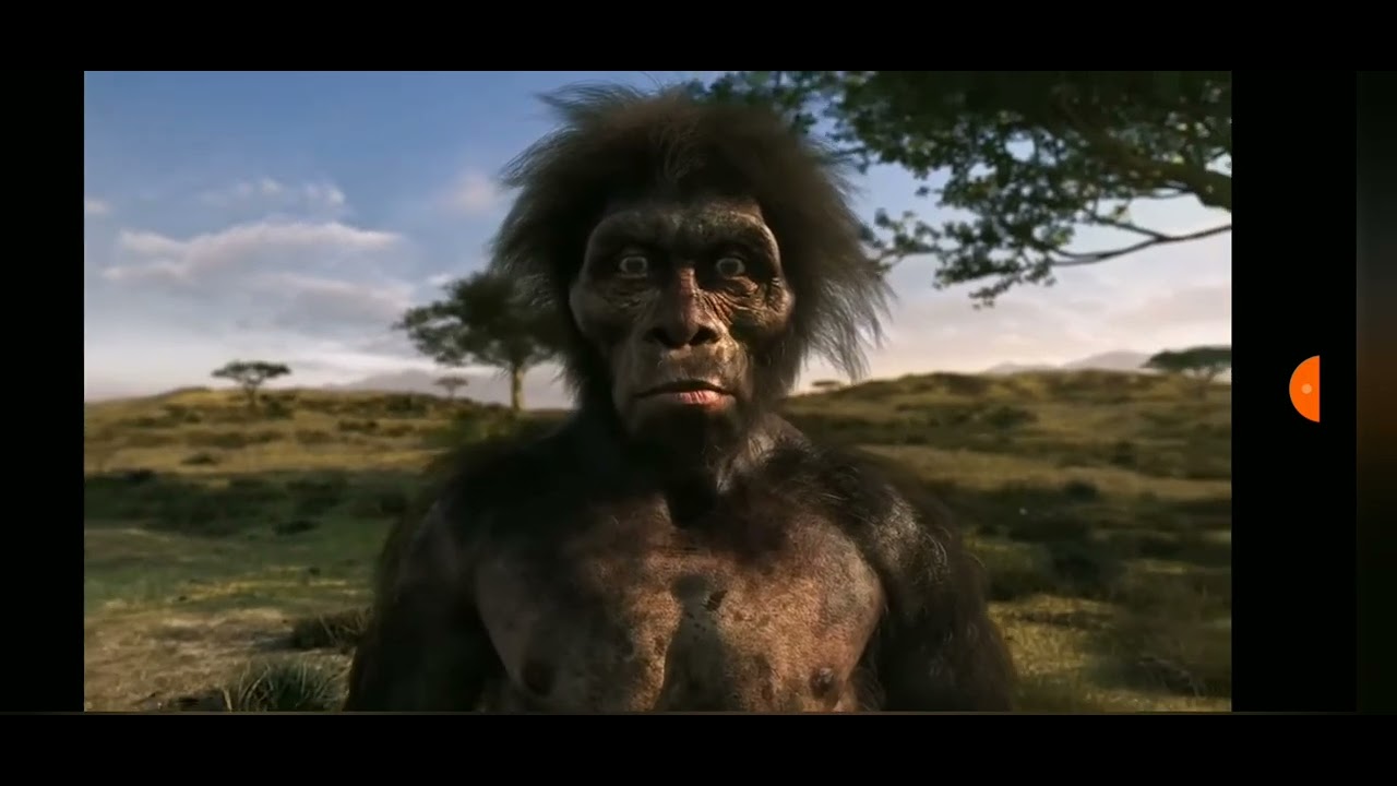 Teoria del mono dopado. Fantastic fungi - YouTube