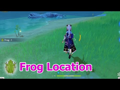 Frog Location - Genshin Impact - YouTube