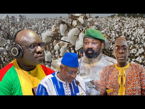 Emission: Donsow KA YIRI KORO BAARO FILY DIALLO - YouTube