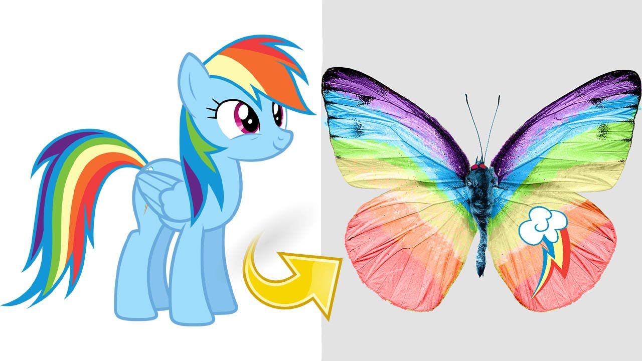MLP Rainbow Dash as Butterfly My Little Pony - YouTube