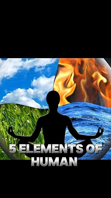 5 elements of human - YouTube