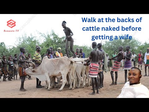 Walk at the backs of 6 cattle naked and get married or forever stay single. Hamer tribe