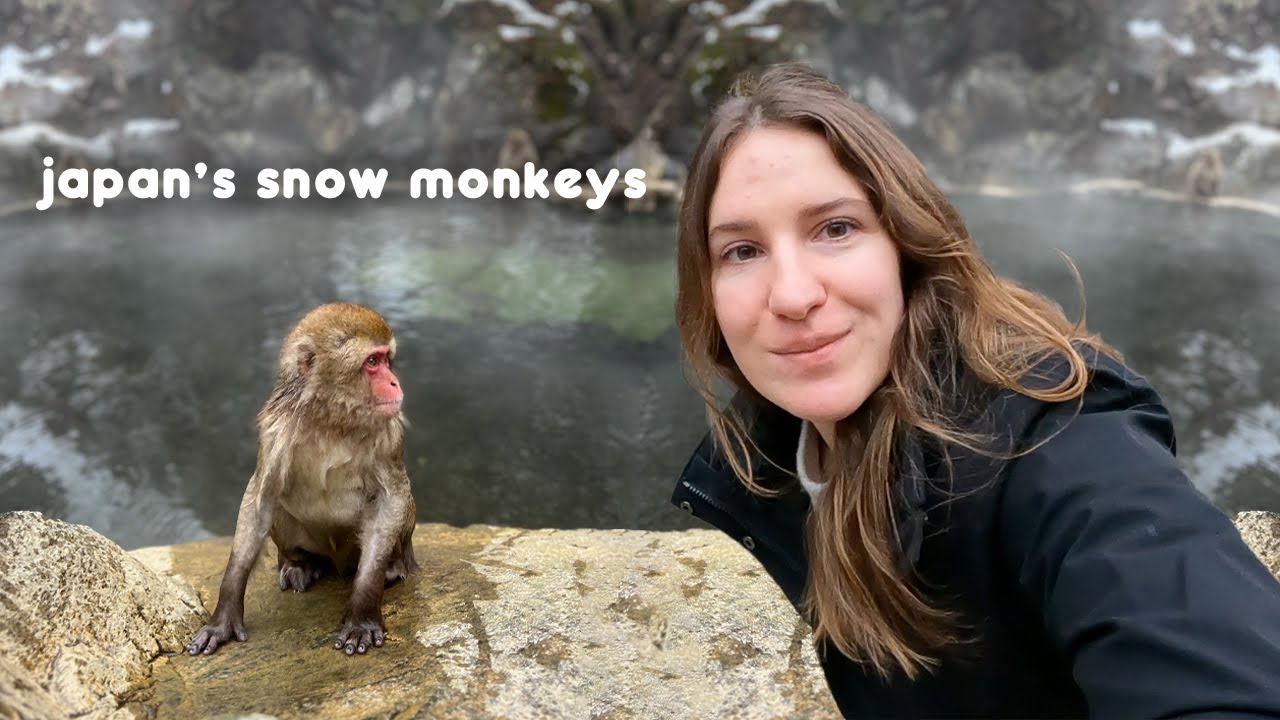 Hanging Out with Japanese Snow Monkeys - YouTube