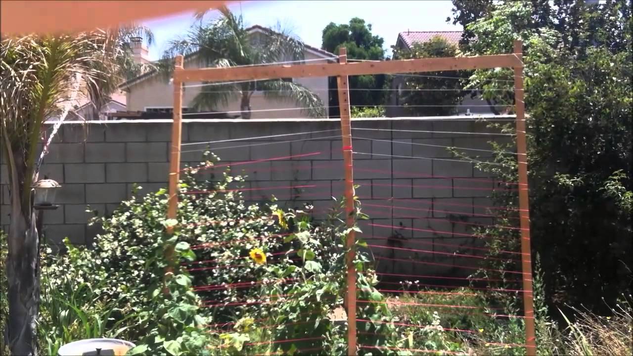 different types of trellis - YouTube