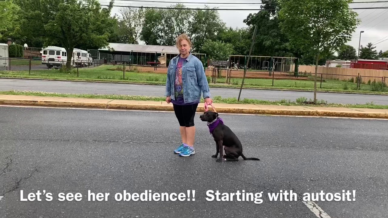 Lucie Go Home! - YouTube