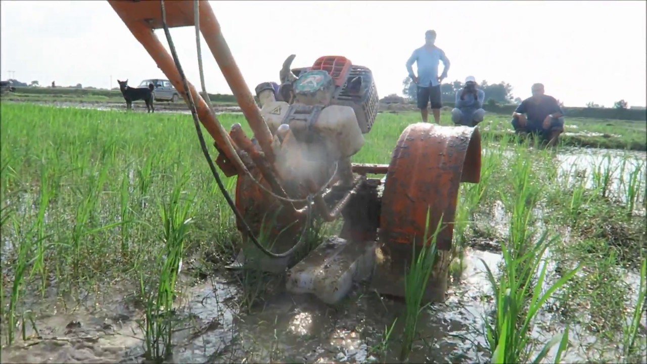 Powered Rice weeder (धान गाेड्ने मेसिन, इन्जिन भएकाे ) - YouTube