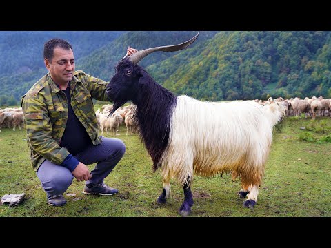THE MOST TENDER GOAT MEAT BAKED UNDERGROUND | EXOTIC RECIPE FROM AZERBAIJAN