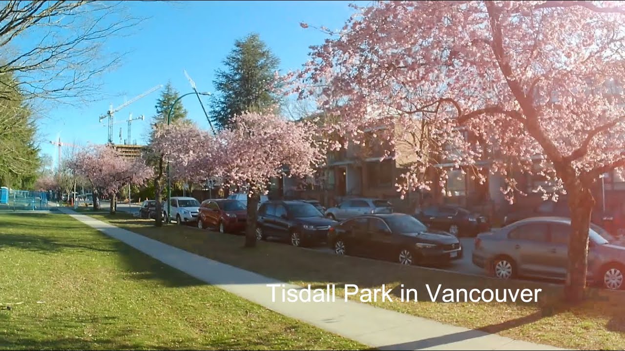 [UDC 4k] Tisdall Park in Vancouver - YouTube