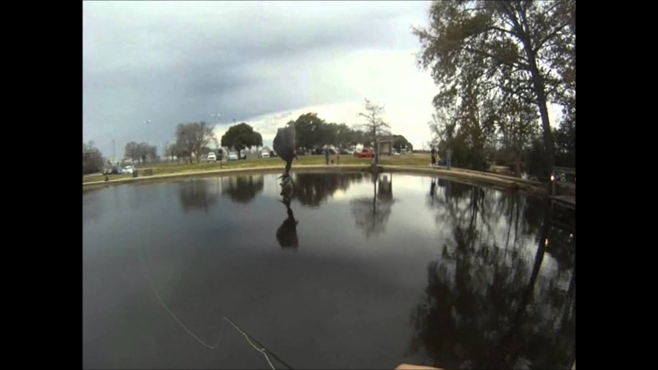 Central Park Pond in College Station, Texas - YouTube