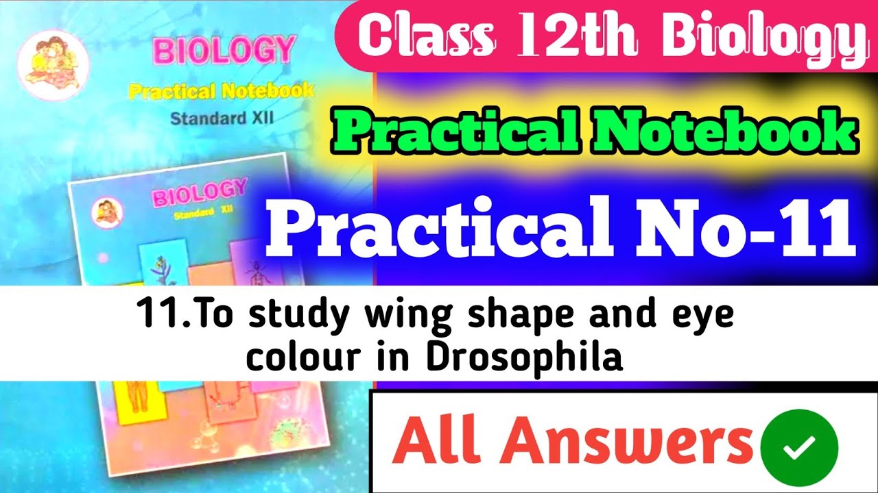 12th Biology Practical Notebook|| 11.To study wing shape and eye colour ...