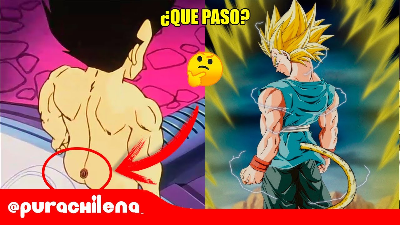 ¿Por Que A Goku Y Vegeta Nunca Mas Les Crecio La Cola? | @Purachilena ...