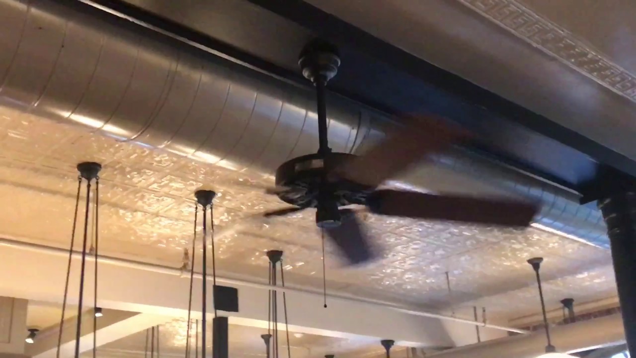 6 Hunter Original Ceiling Fans at a Restaurant - YouTube