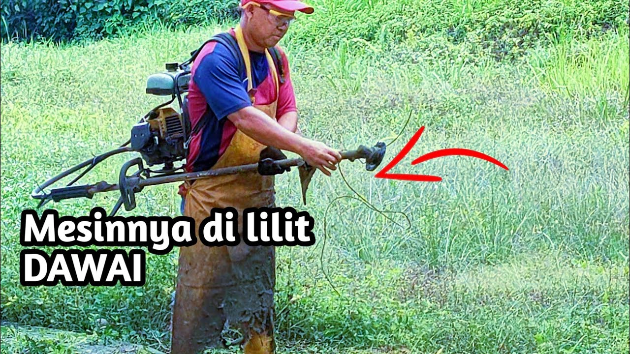 Memotong rumput di kawasan nursery mesinnya tidak mau hidup - YouTube