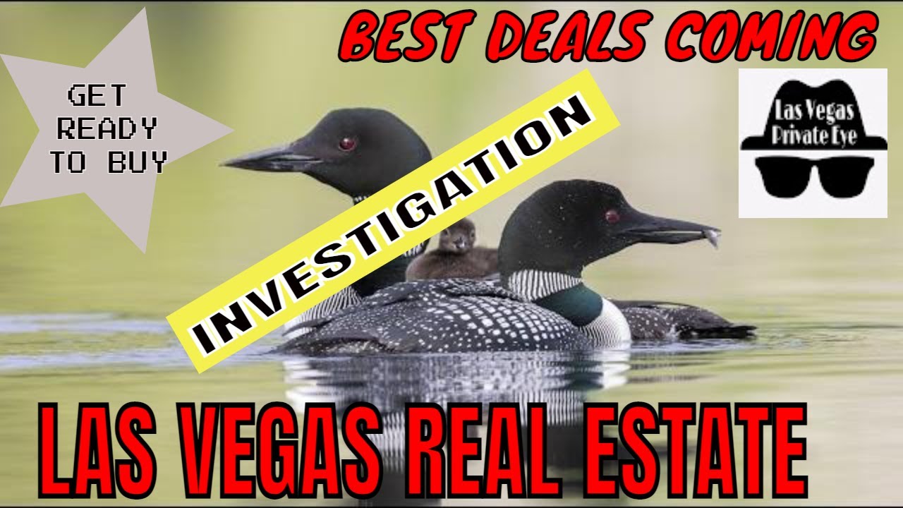 Investigating the REAL ESTATE Market in Las Vegas - HOME PRICES Free ...