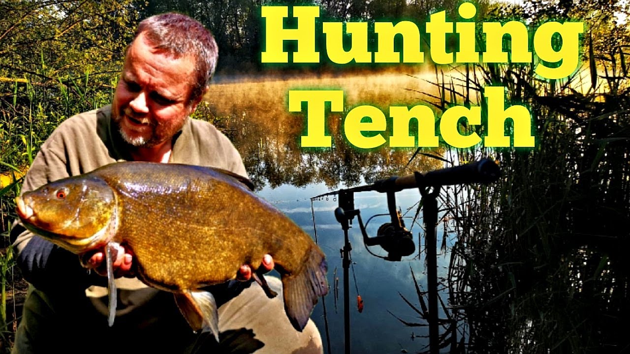 Tench Fishing - Searching For a Large Tench (Video 256) - YouTube