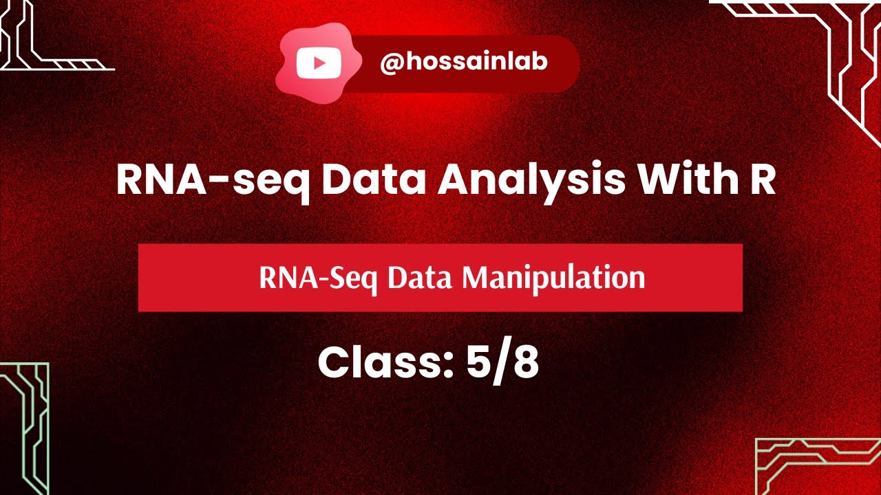 The Ultimate Guide to RNA-Seq Data Analysis with R - YouTube