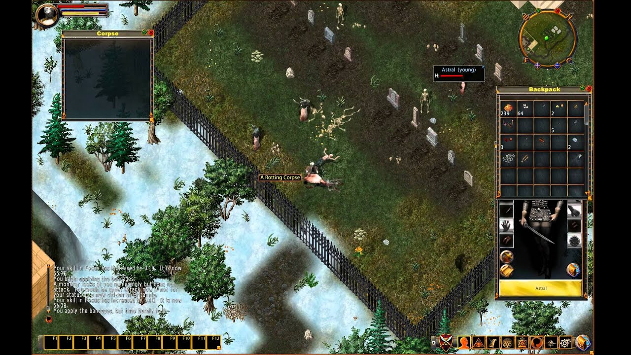 Let's Show Ultima Online - #003 - Moonglow - YouTube