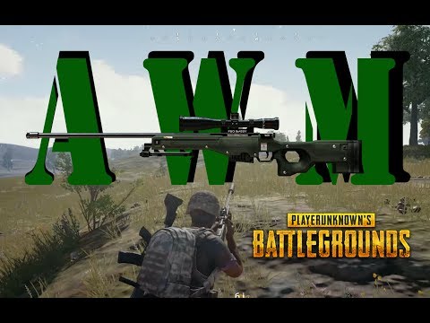 Suppressed AWM | PUBG Philippines