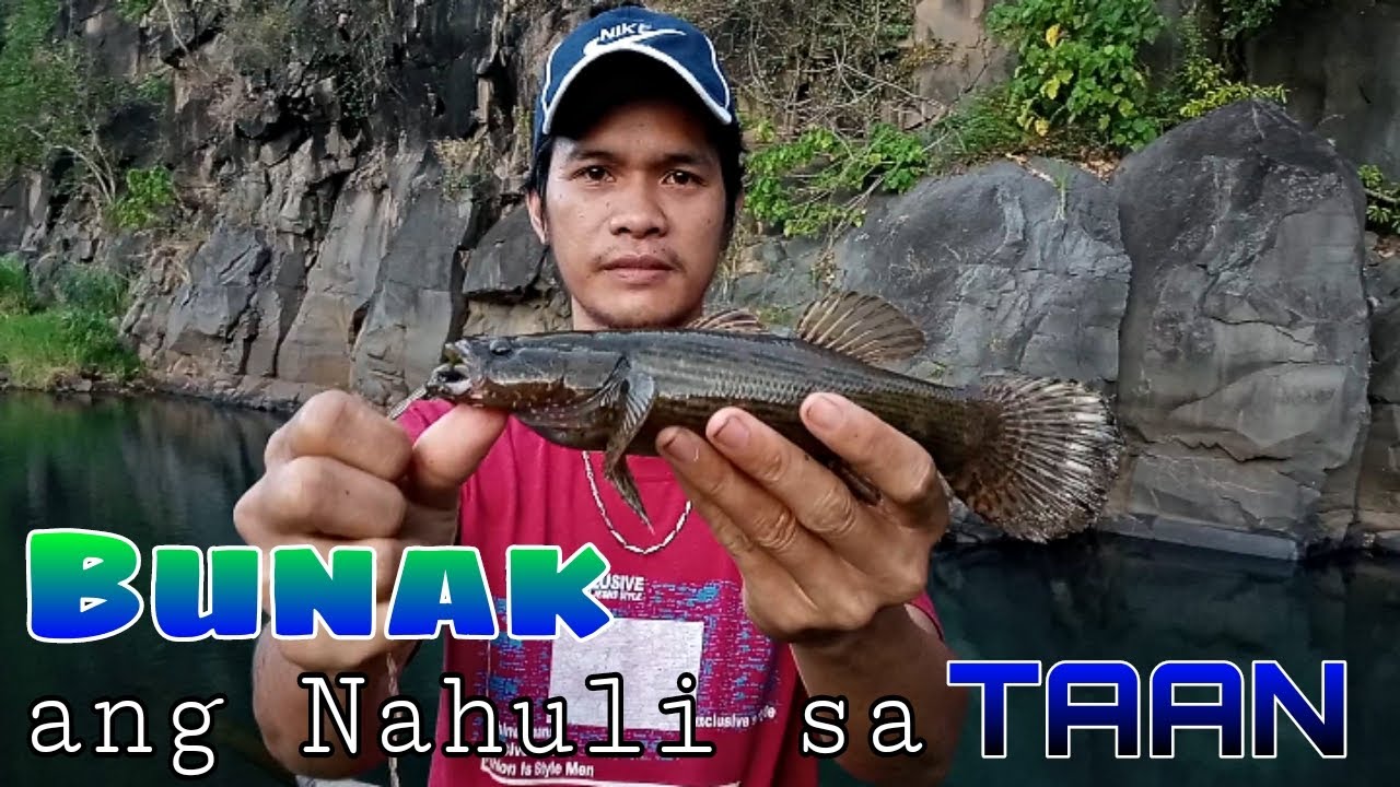 BUNAK ang Nahuli sa TAAN pang KASILI | Fishing Adventure in Philippines ...