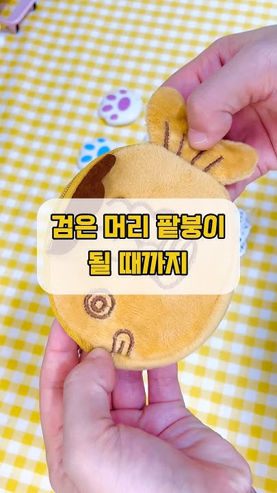 슈붕 vs 팥붕 난 붕파! 붕어빵 파우치😂 - YouTube