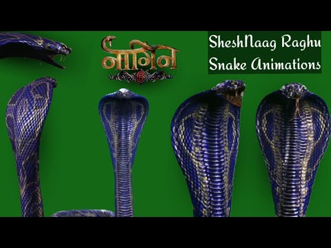 Naagin 6 Shesh Naag Raghu Snake Animations On Green Screen Naagin 6 Ep ...
