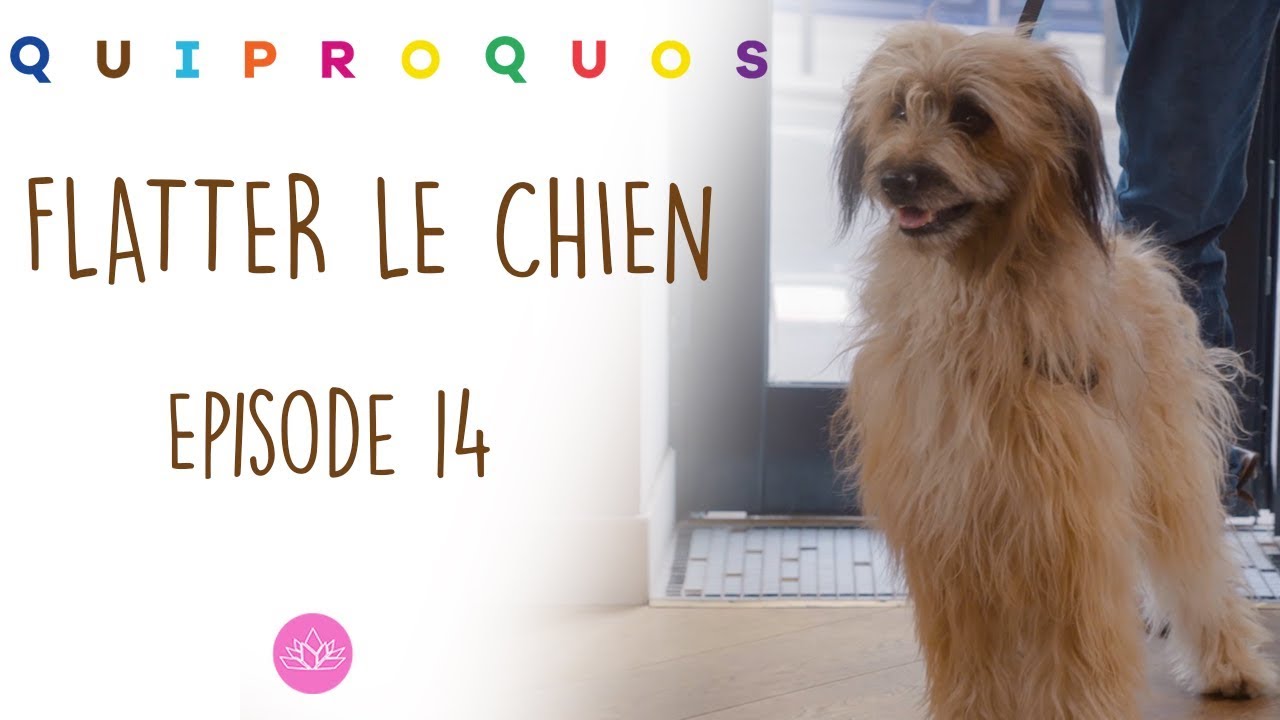 IL FAUT FLATTER LE CHIEN ! - QUIPROQUOS - YouTube