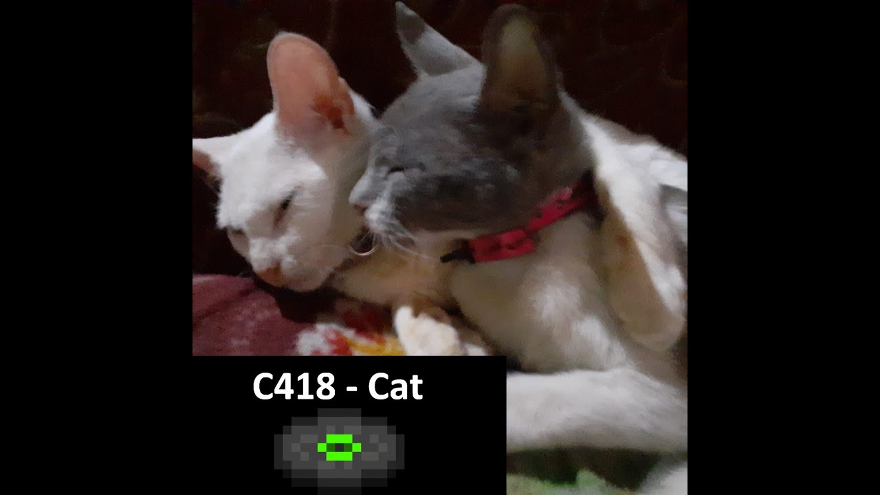 Disco cat/C418/Minecraft - YouTube