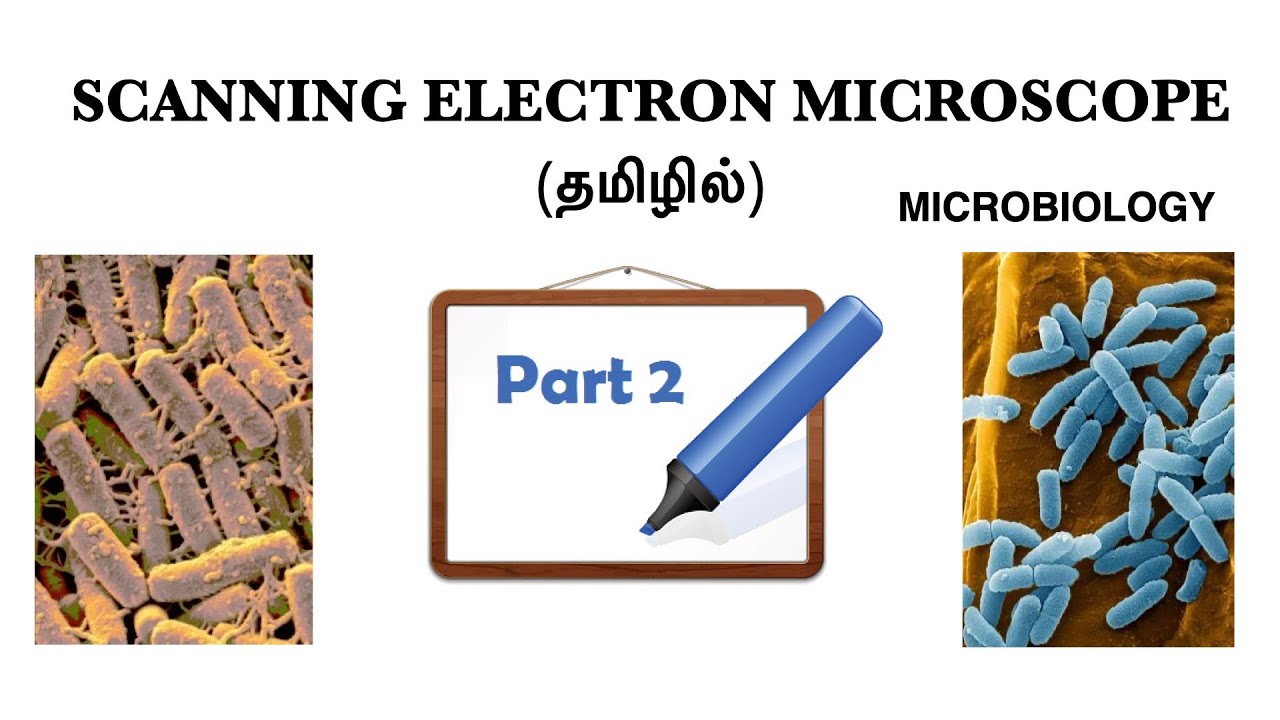 Scanning Electron Microscope (SEM) [Part 2]/ Working mechanism ...