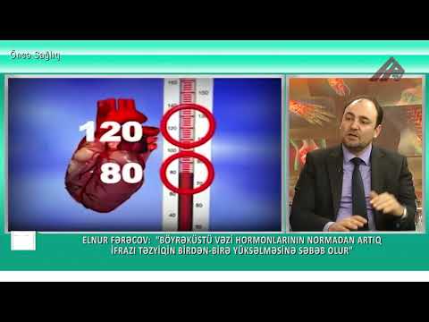 Yüksək təzyiq nədən yaranır ? Nefroloq  Dr.Elnur Fərəcov (055 741 51 91)