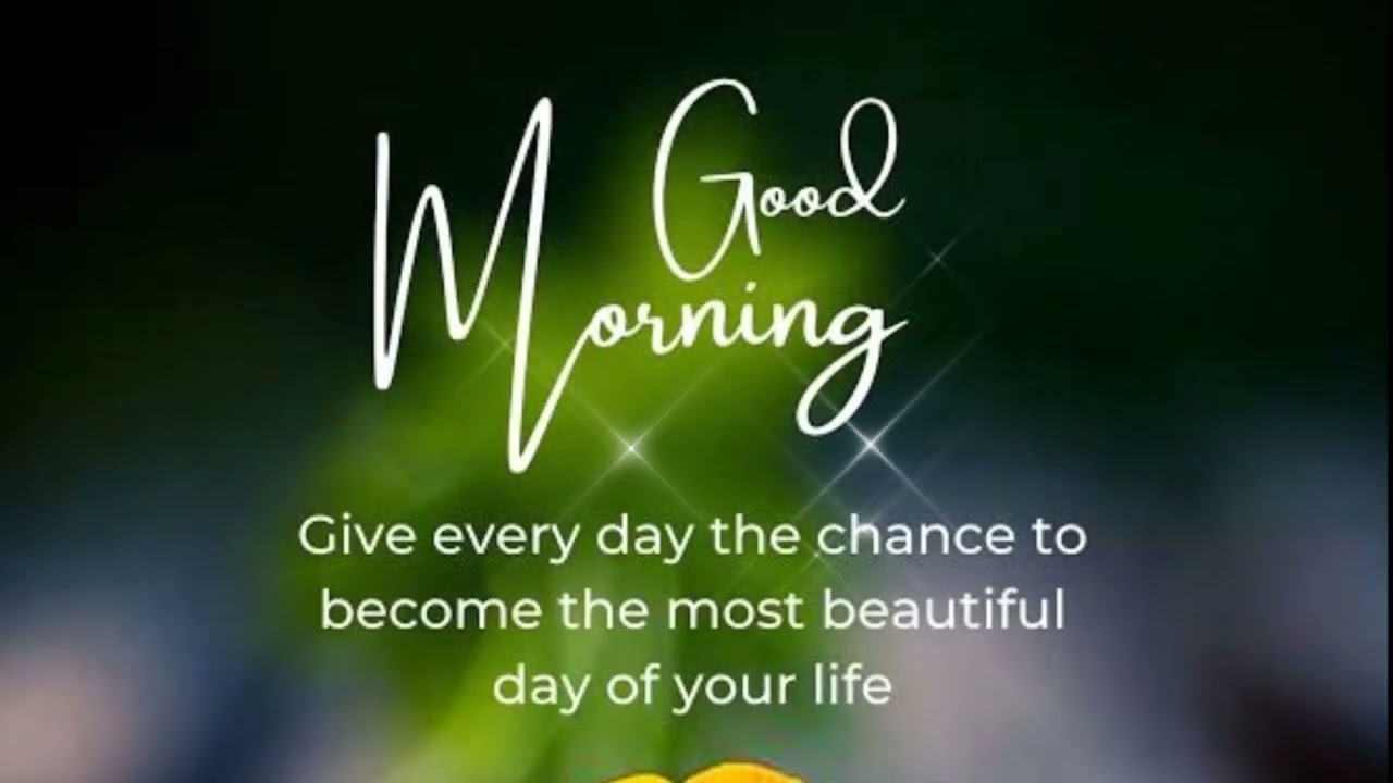 Good Morning Status | Whatsapp Status With beautiful Song ️ ️| Latest ...
