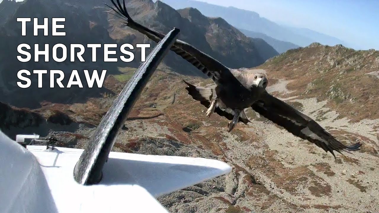 The shortest straw - YouTube