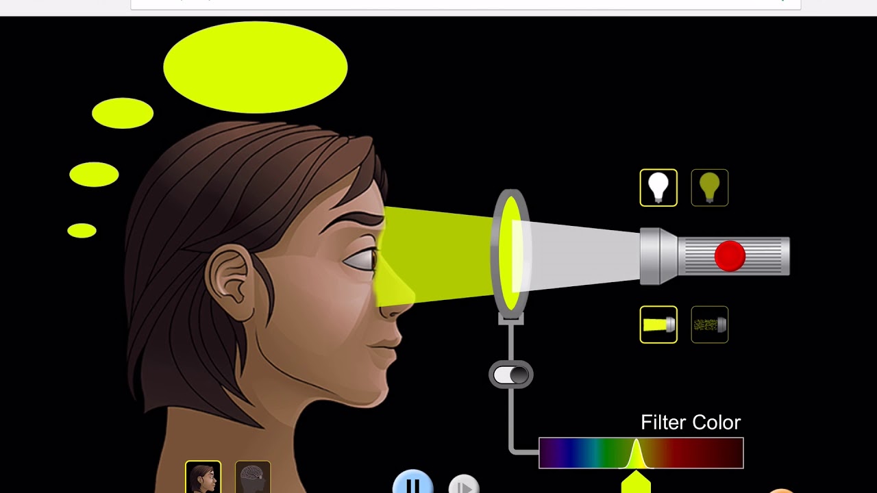 #99 Color My World (pHET Simulation) - YouTube