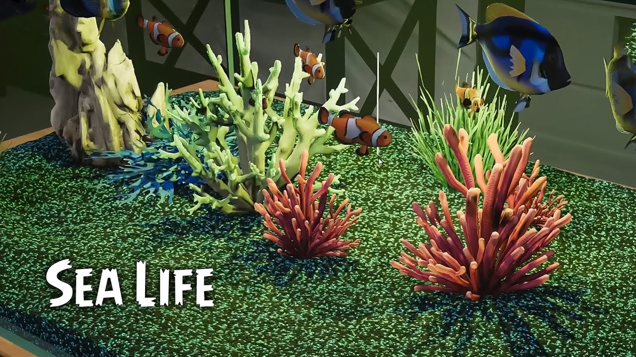 Making a Finding Nemo Fish Tank - YouTube