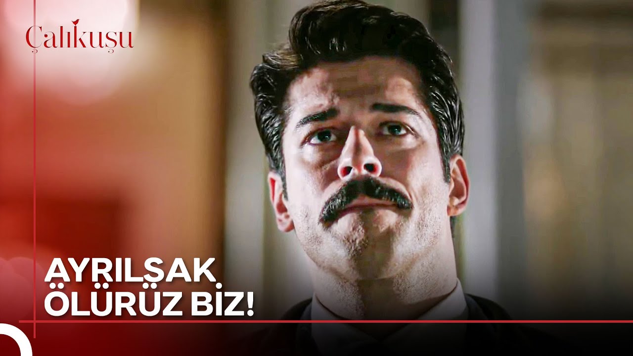 Feride, Kamran ile Ayrılma Noktasında | Çalıkuşu - YouTube