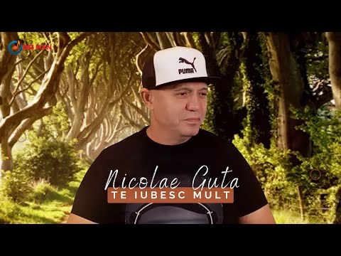 Nicolae Guta - Te iubesc mult [Video Oficial]