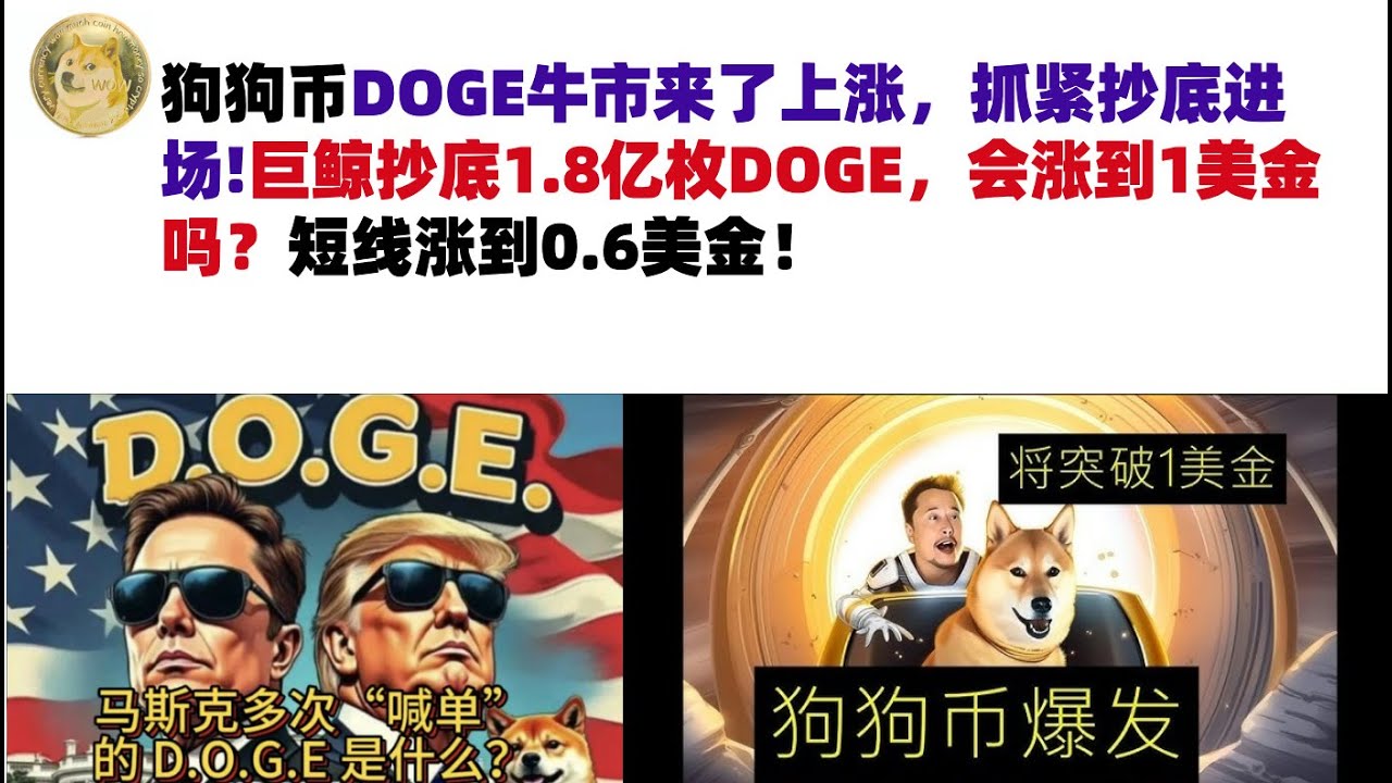狗狗币DOGE牛市来了上涨，抓紧抄底进场!巨鲸抄底1.8亿枚DOGE，会涨到1美金吗？短线涨到0.6美金#DOGE币#马斯克狗狗币#DOGE行情分析! - YouTube